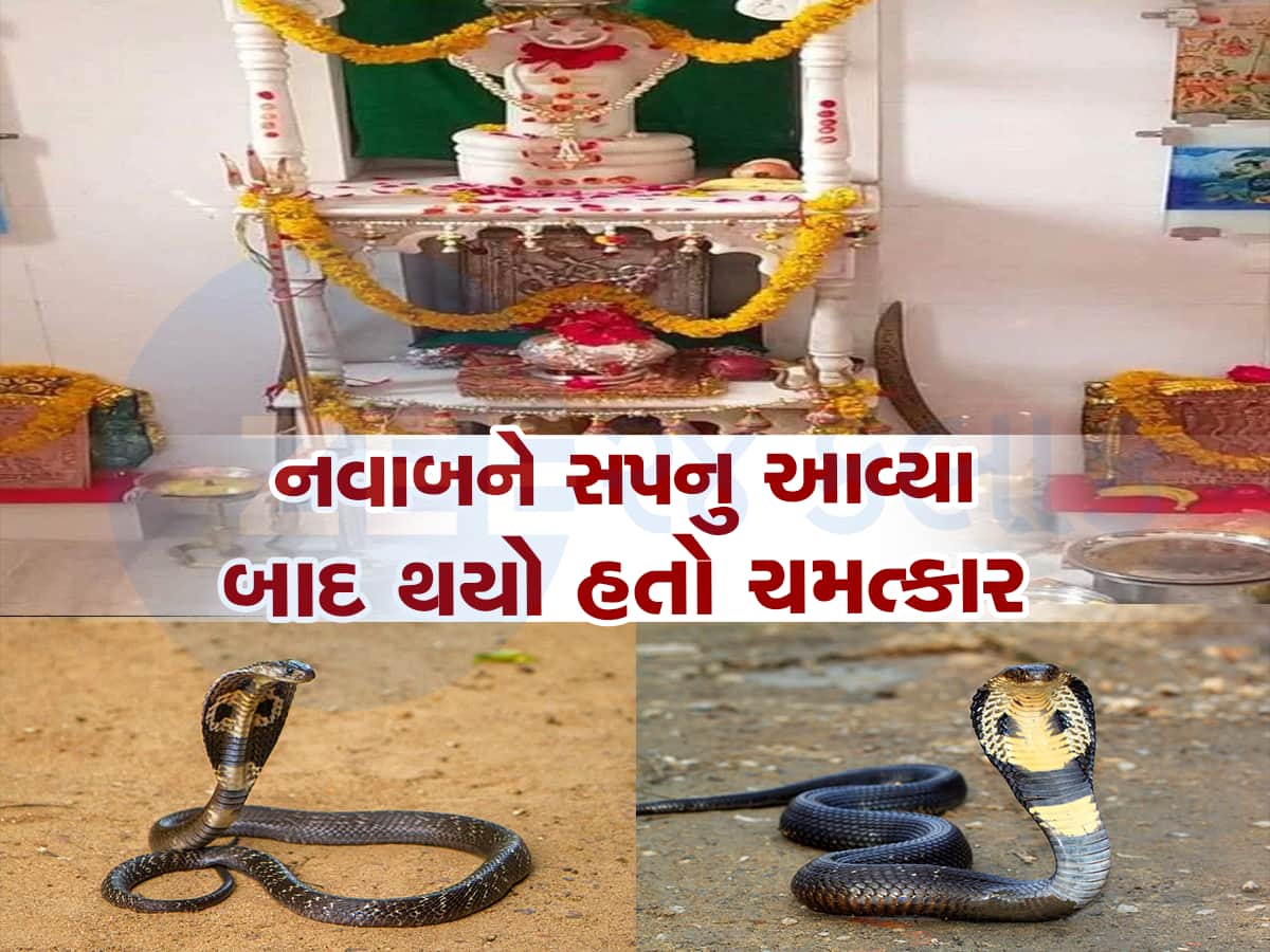 gujarat famous banaskantha palanpur Nagnechi Mata Mandir open once in a ...