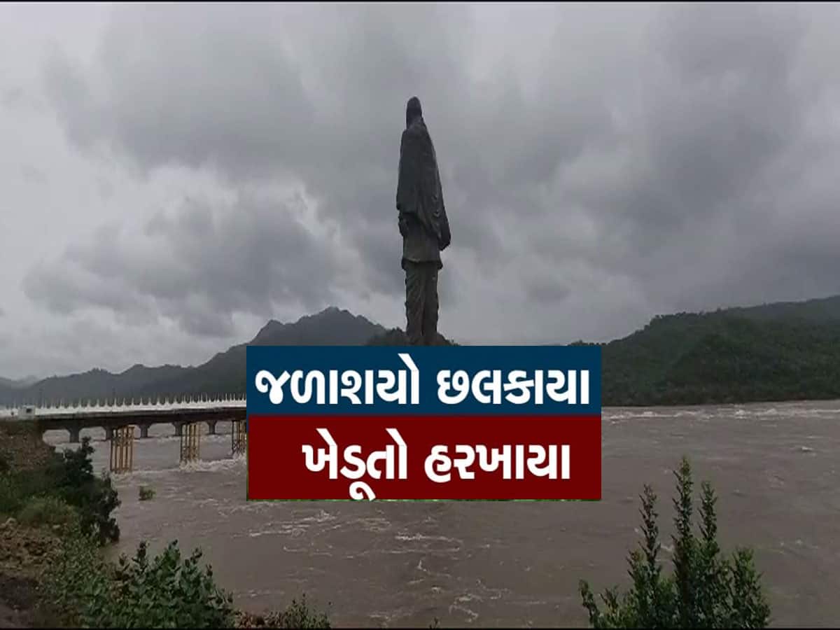 more than 87 dams of gujarat on high alert due to heavy rain and flood ...