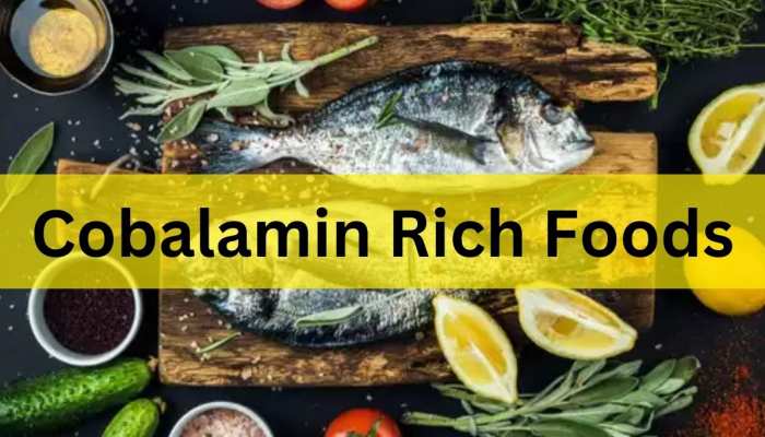 What are The Cobalamin Rich Diet Vitamin B12 Deficiency Disease Anemia ...