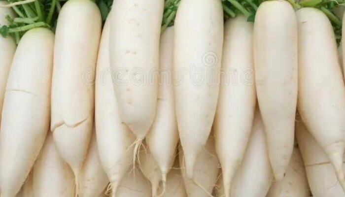 eating radish benefits for body muli khane ke faaydo ko jaane