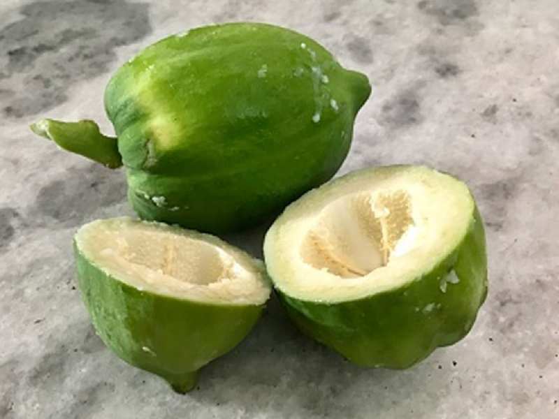 Raw Papaya Benefits: શું તમે જાણો છો કાચા પપૈયાના 6 અનોખા ફાયદા? જાણશો ... Raw Papaya Benefits: શું તમે જાણો છો કાચા પપૈયાના 6 અનોખા ફાયદા? જાણશો ...