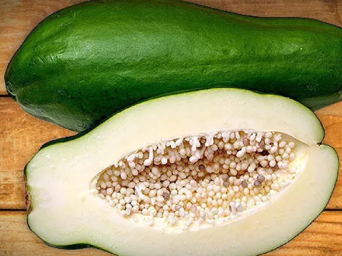 Raw Papaya Benefits: શું તમે જાણો છો કાચા પપૈયાના 6 અનોખા ફાયદા? જાણશો ... Raw Papaya Benefits: શું તમે જાણો છો કાચા પપૈયાના 6 અનોખા ફાયદા? જાણશો ...