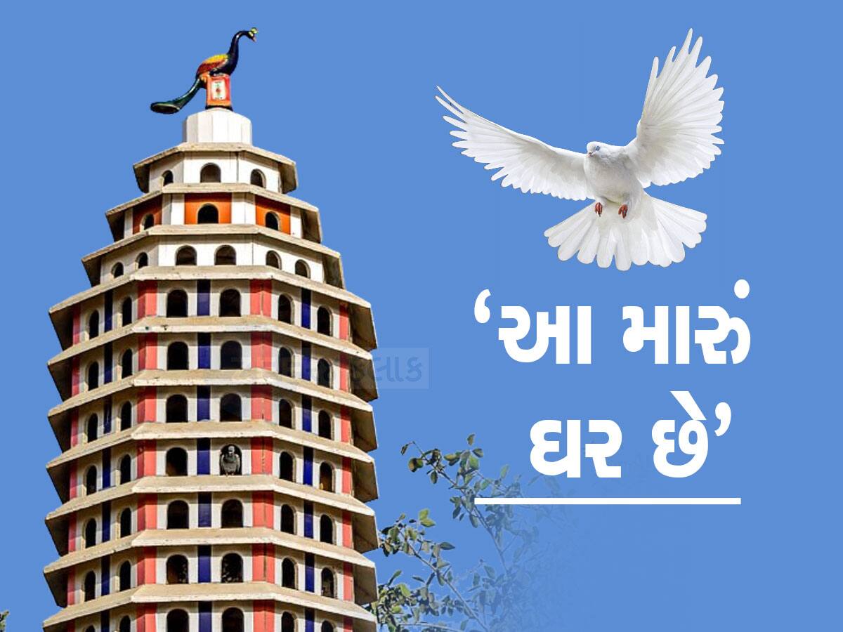 anand NRI bird lover make giant bird house