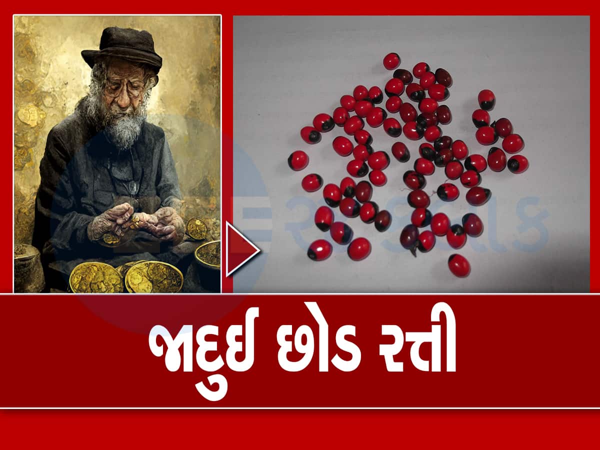 ratti seeds very poisonous and used for gold mapping important ...