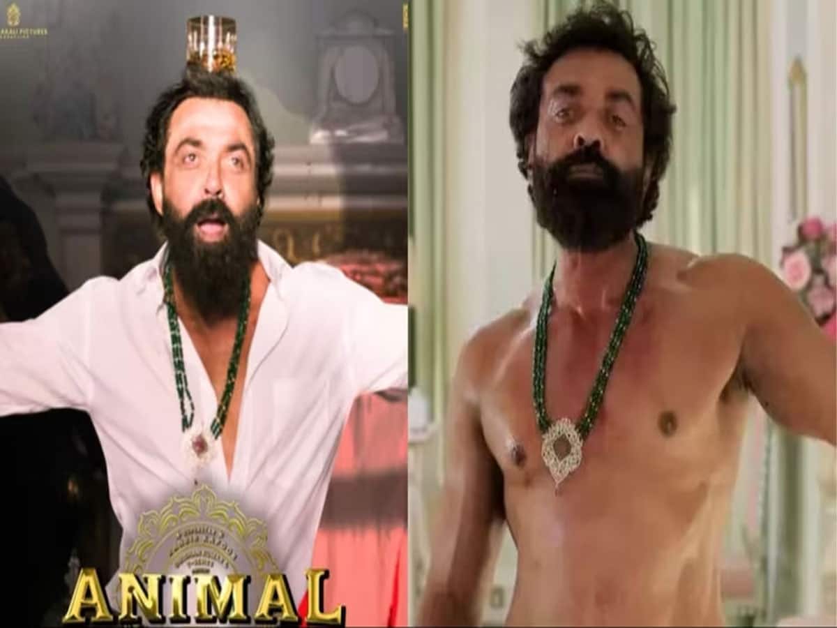 Animal bobby deol famous entry song Jamal Jamalo Kudu hindi meaning