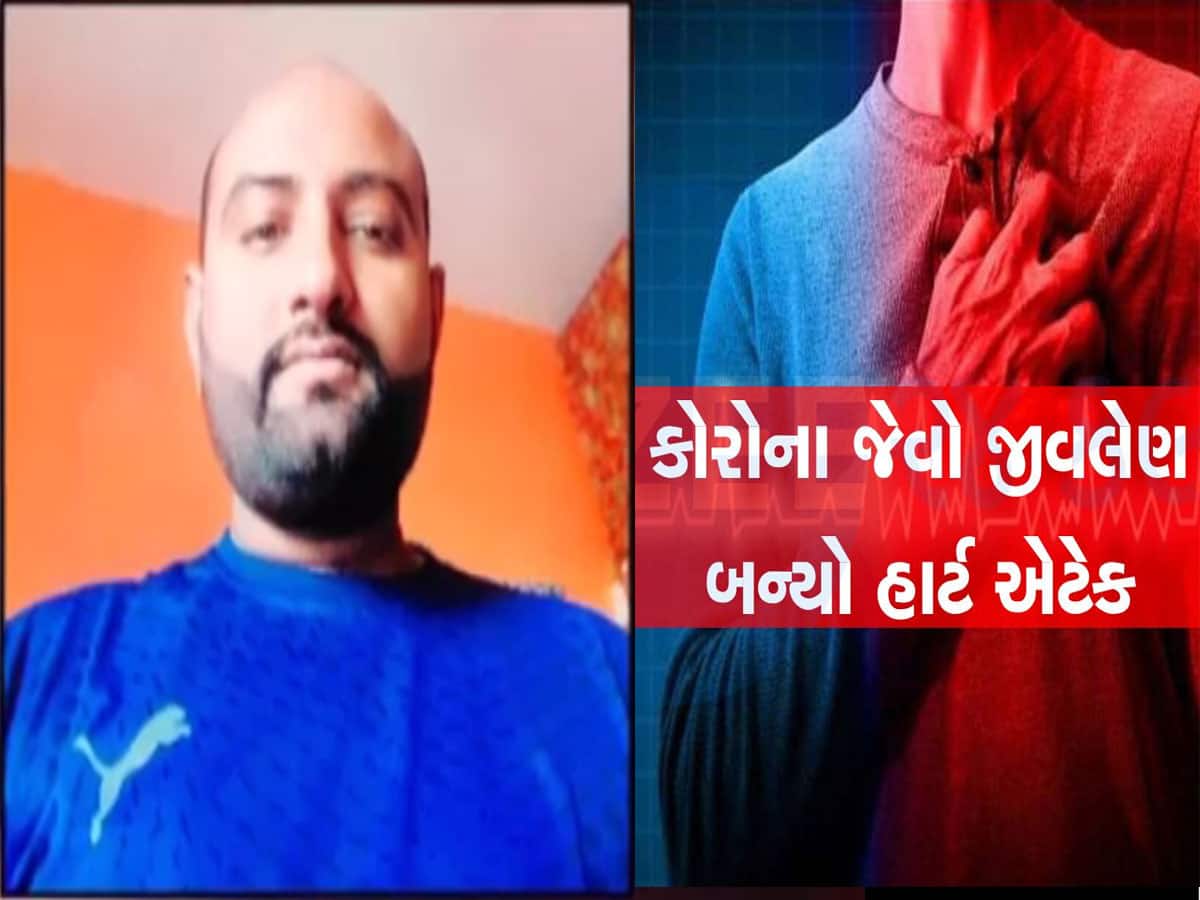 valsad shocking death of two youth fall down on tithal road due to ...
