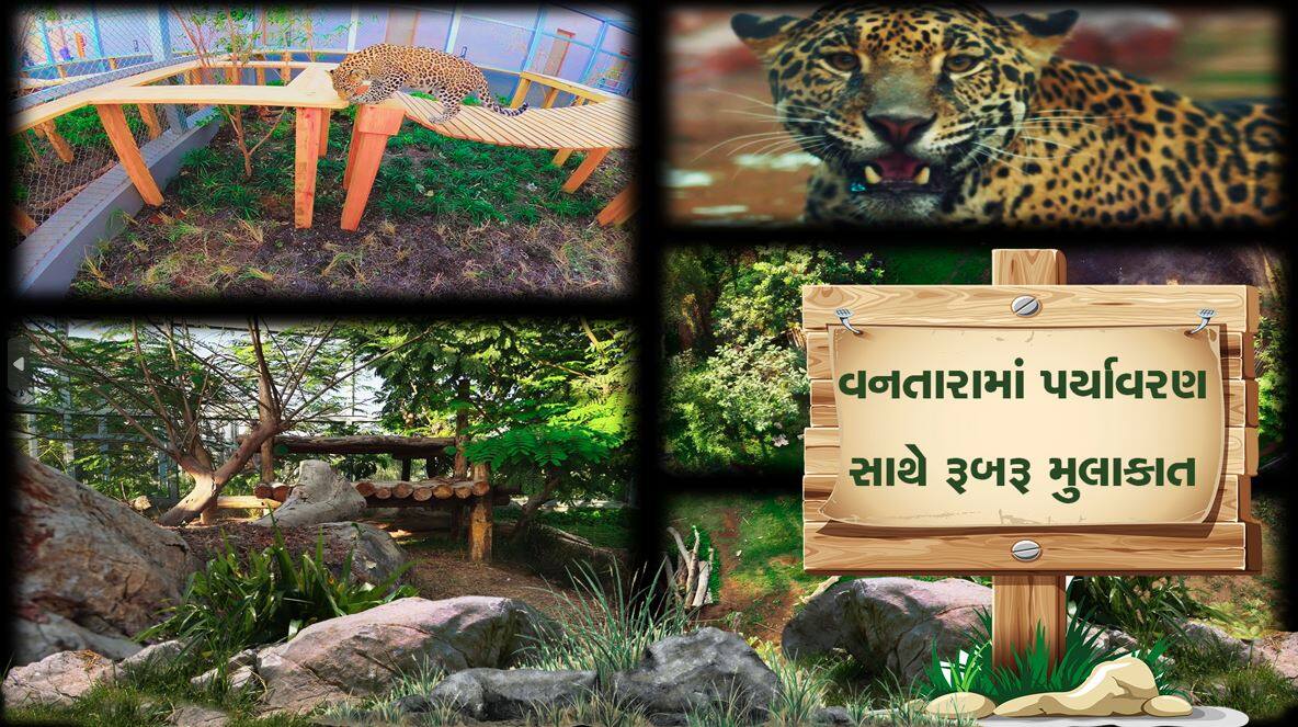 Anant Ambani's 'Vantara' project is home to countless wild animals