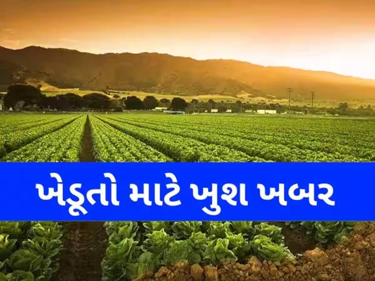 બાગાયતી ખેતી કરતા ગુજરાતના ખેડૂતો માટે ખુલ્લું મૂકાયું આ પોર્ટલ! જાણો ...