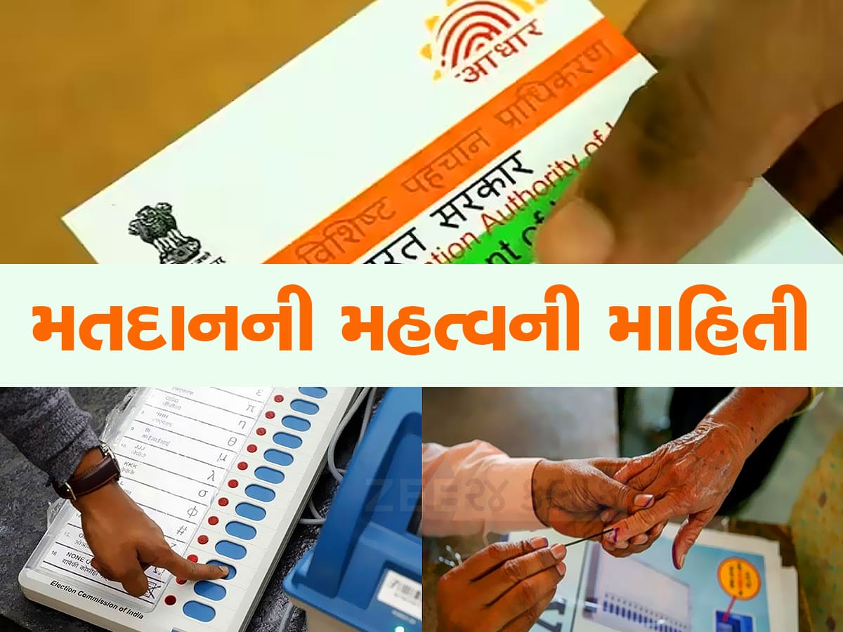 documents required for voting in elections 2024