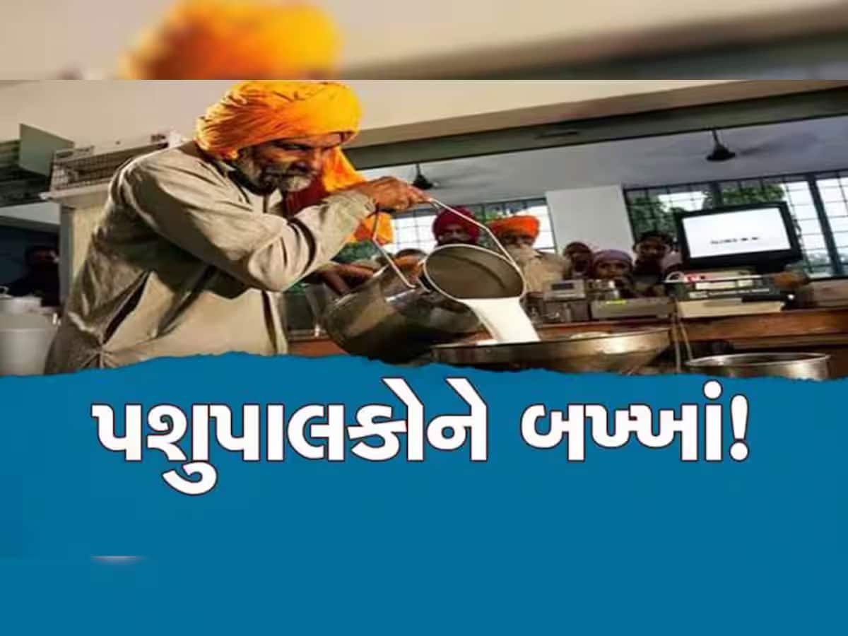 mehsana dudh sagar dairy big announcement price hike for milk producers ...