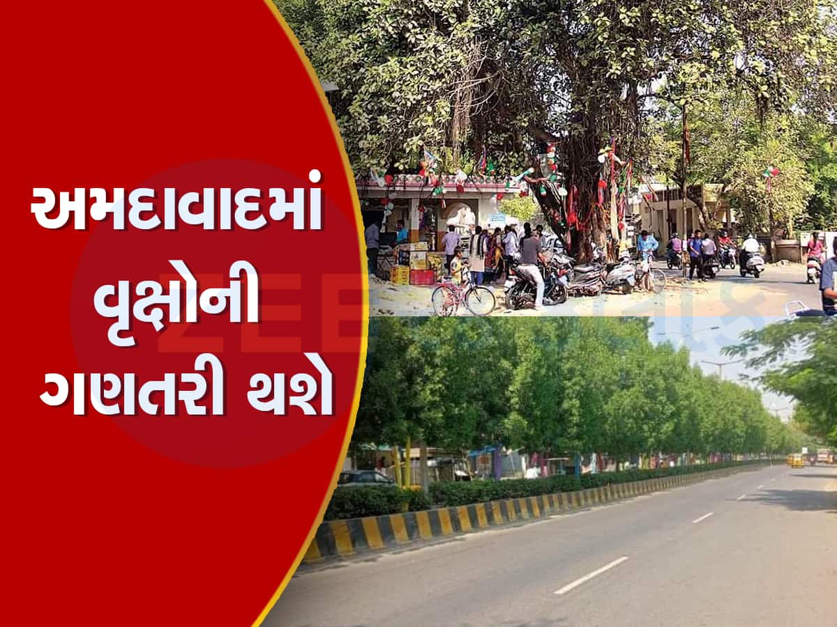 ahmedabad will now conduct tree census first time with GIS and GPS system