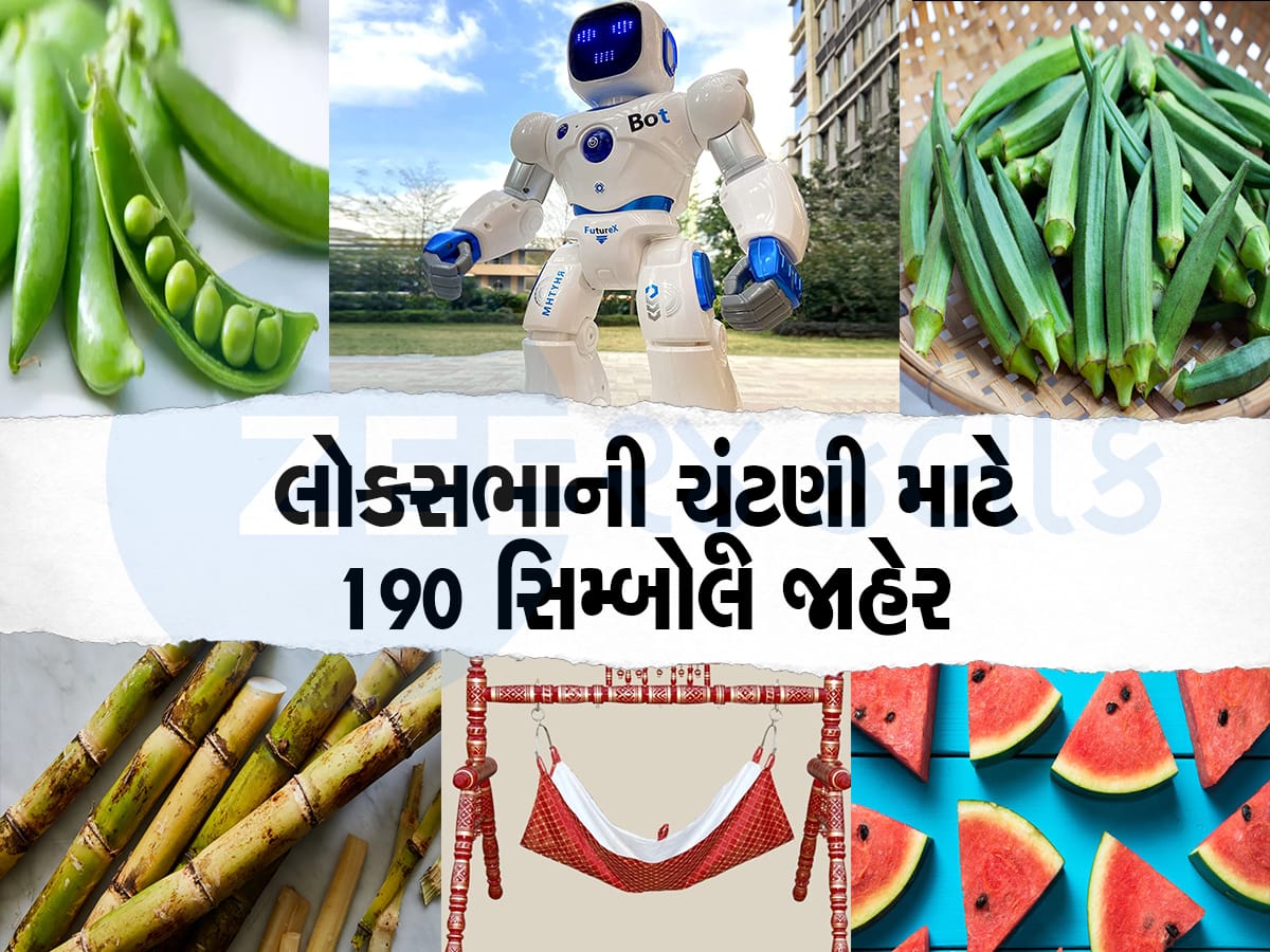 election commission released 190 symbols for independent candidates in ...