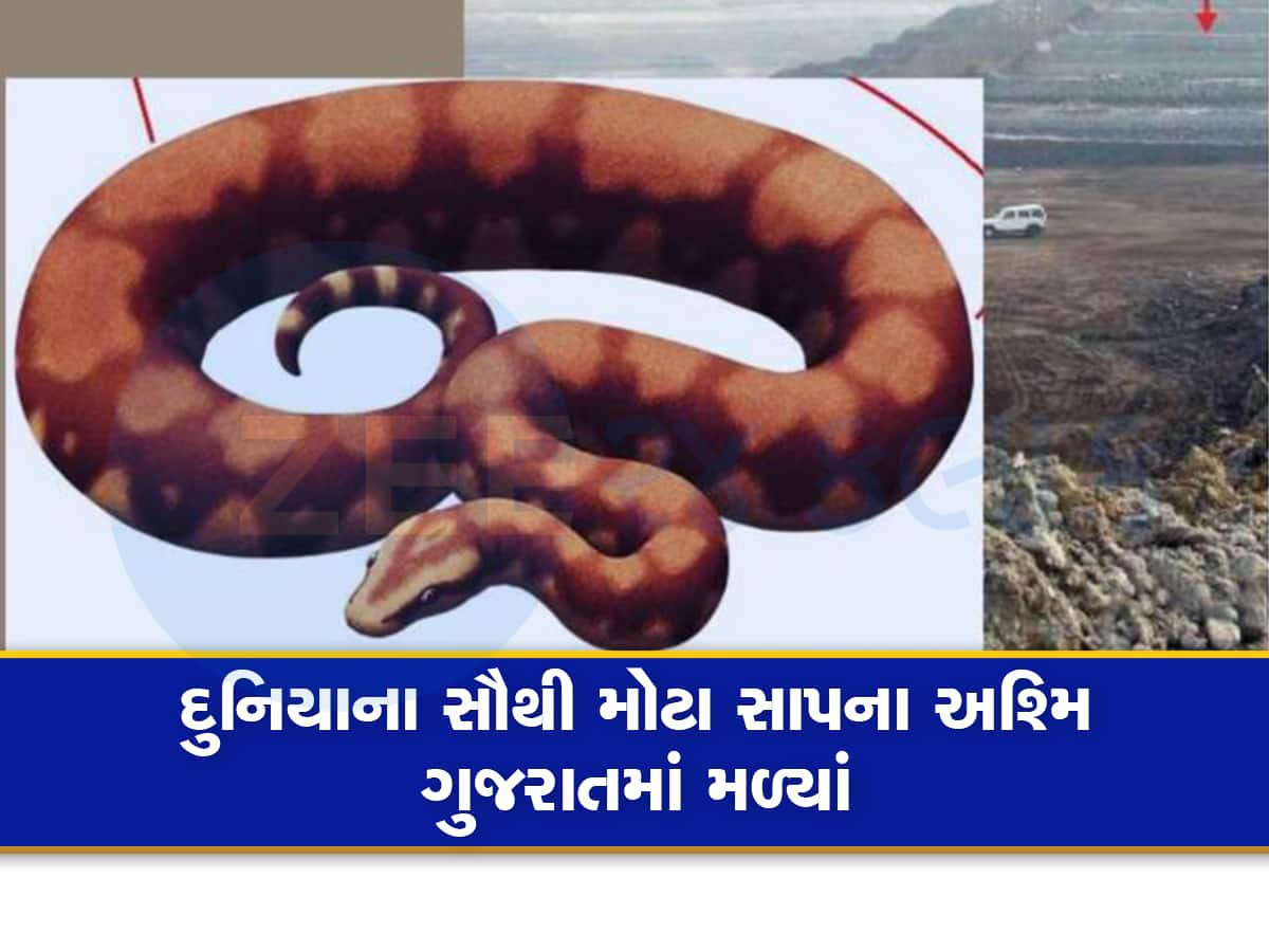 worlds largest snake fossils discover in gujarat kutch by IIT roorkee ...