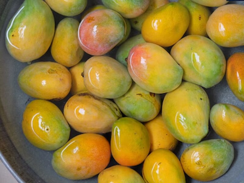 Mango Eating Tips: કેરી ખાતા પહેલાં જરૂર કરી લો આ કામ, નહીંતર થઇ શકે છે ...