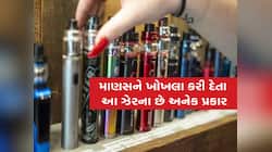 Navsari SOG police News in Gujarati, Latest Navsari SOG police news ...
