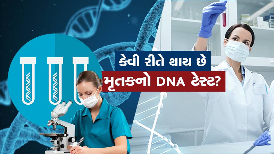 What is DNA and how is the DNA test of the deceased done