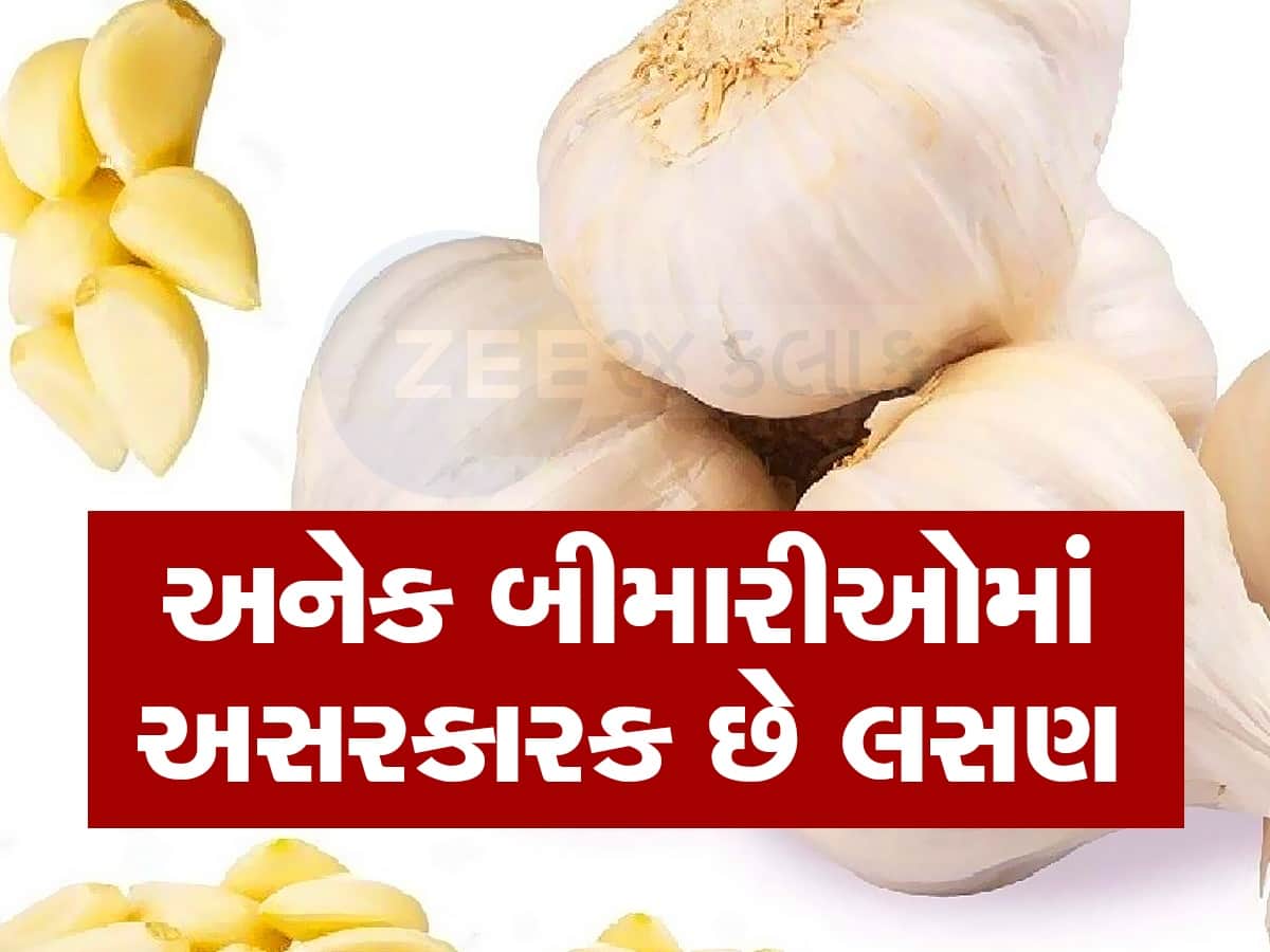 30 દિવસ સુધી લસણની 1 કળીનું કરો સેવન, આ જીવલેણ બીમારીઓ રહેશે દૂર ...