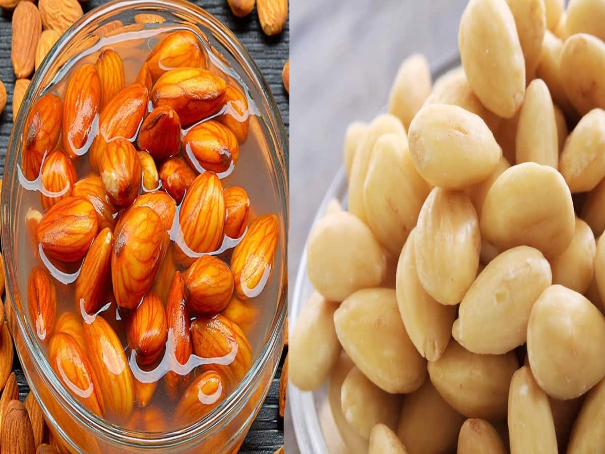 બદામ પલાળીને ખાવી કે સુકી, કેવી રીતે ખાવાથી થાય છે લાભ? શું કહે છે નિષ્ણાતો