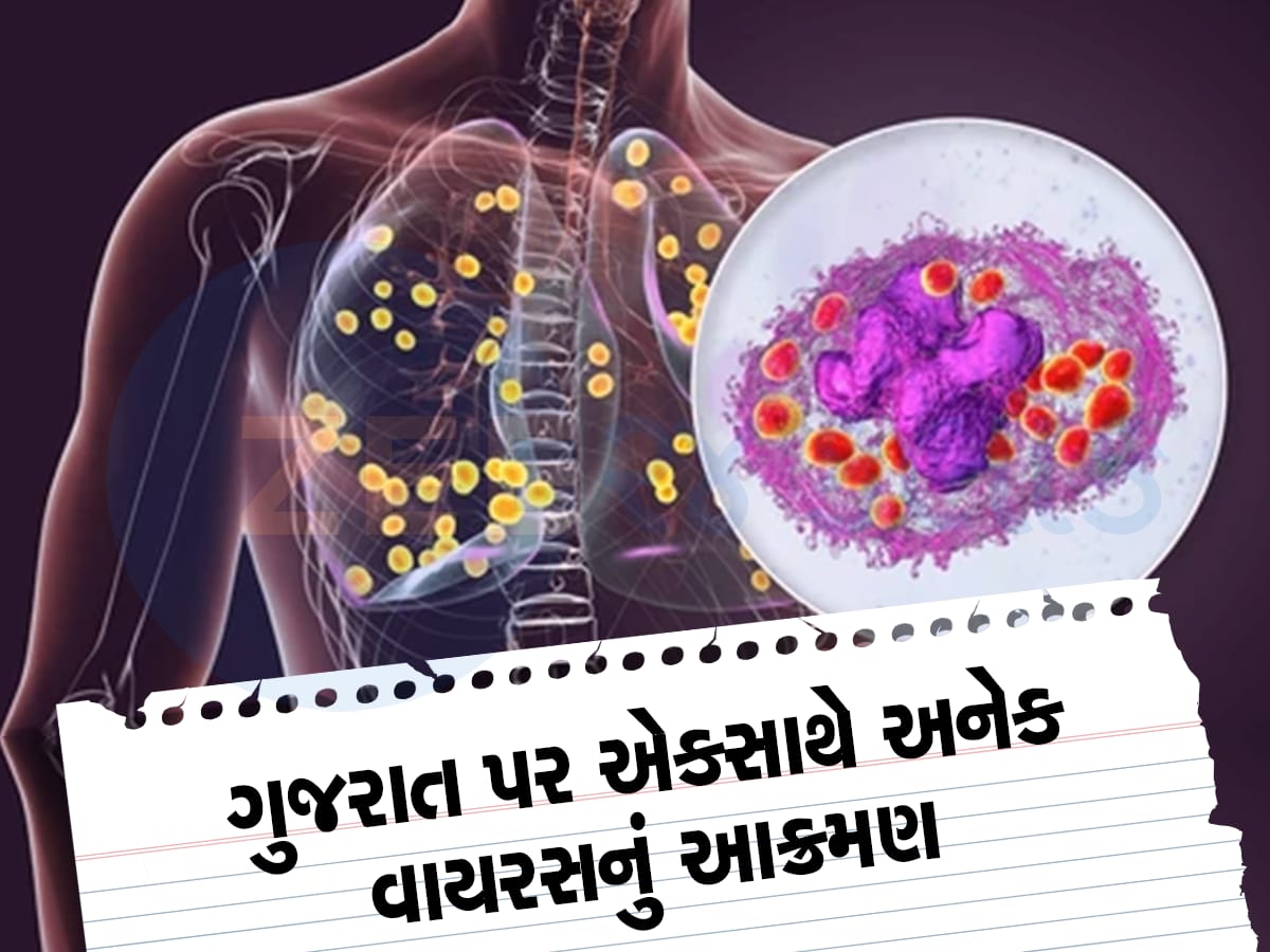 સુરતની મહિલા દુર્લભ વાયરસના ઝપેટમાં, મહાબળેશ્વરની ગુફામાંથી ...