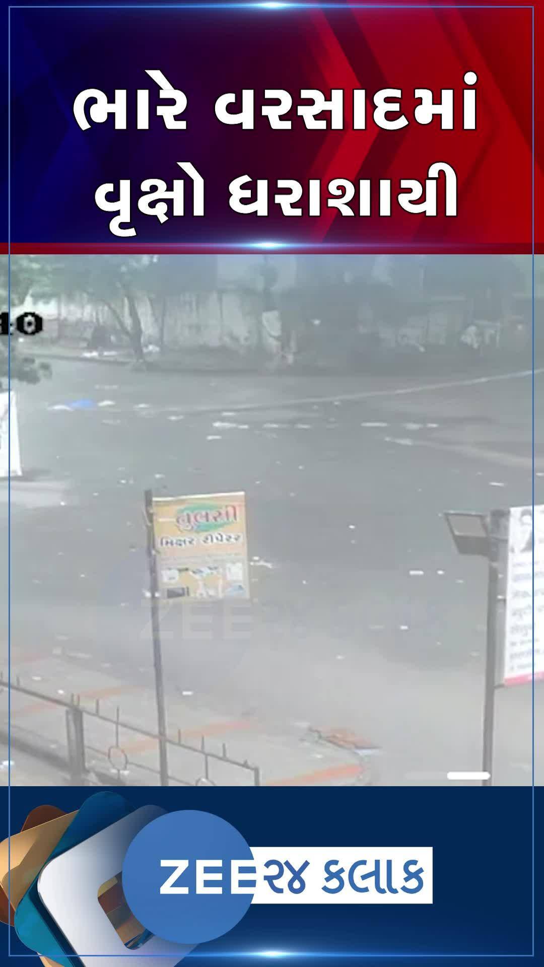 સુરતના ભટાર વિસ્તારમાં ભારે વરસાદને કારણે વૃક્ષો ધરાશાયી, CCTV આવ્યા ...