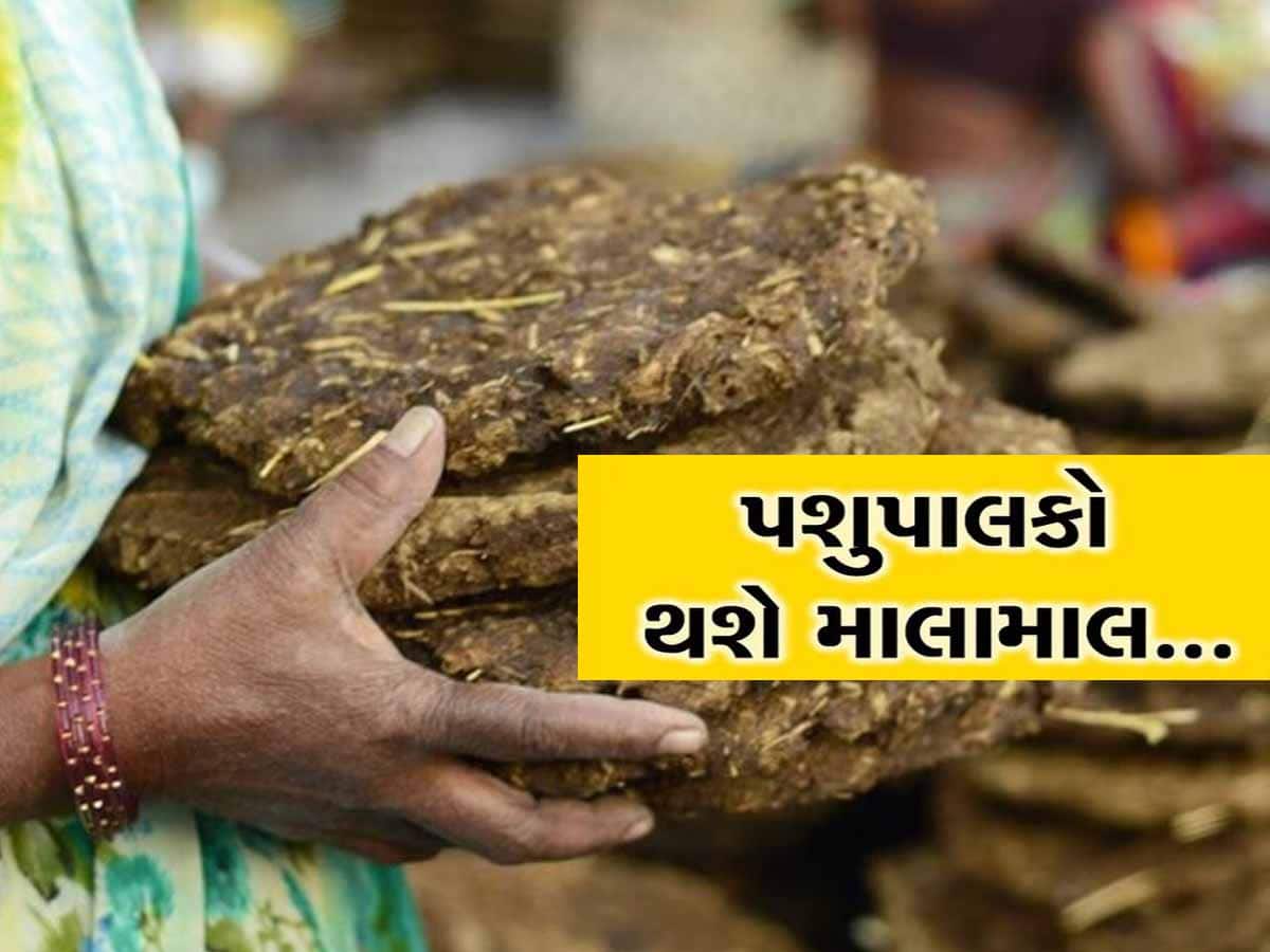 ગુજરાતના પશુપાલકોનાં હવે બદલાશે દિવસો! પહેલા દૂધના પૈસા, હવે છાણના ...