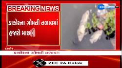 Gomti Lake News in Gujarati, Latest Gomti Lake news, photos, videos ...