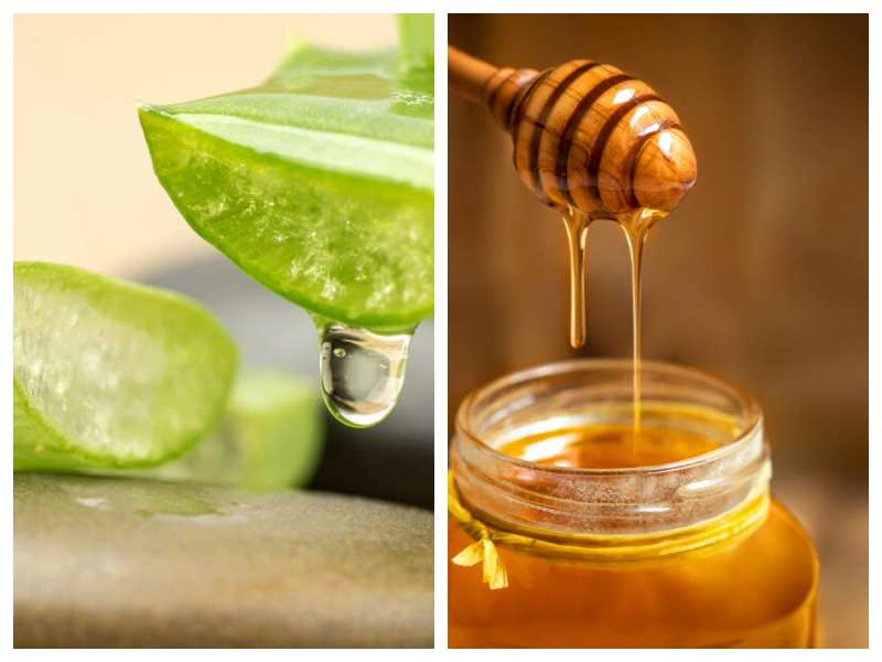 Honey Vs Aloe Vera: મધ કે એલોવેરા, તમારી ત્વચા માટે શું છે વધારે બેસ્ટ? જાણો