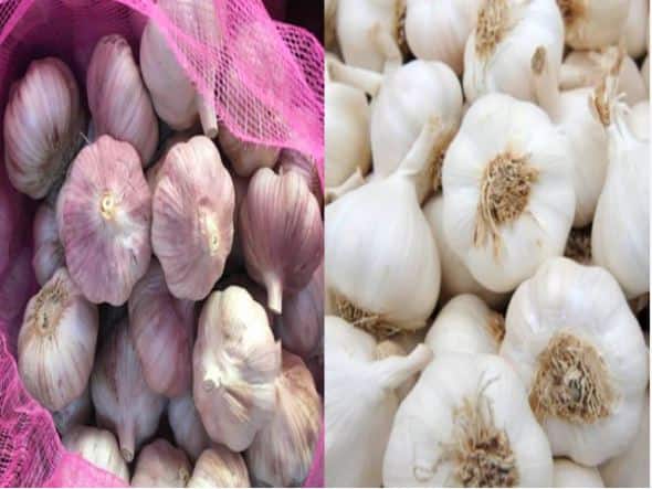 Chinese vs Desi Garlic: ચાઈનીઝ લસણ અને દેશી લસણ વચ્ચે કેવી રીતે કરવો ...