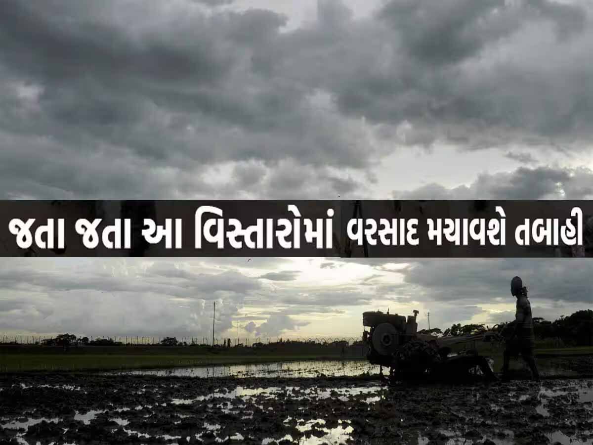 આસોમાં અષાઢી માહોલ..! દિવાળી પહેલા મોસમનો મિજાજ બદલાયો, આ 9 જિલ્લામાં ...