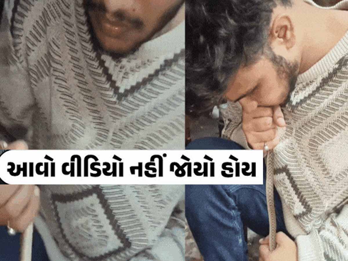 જબરું સાહસ! હવે સાપને પણ મોઢાથી CPR આપતા મળ્યું નવું જીવતદાન, VIDEO જોઈ ...