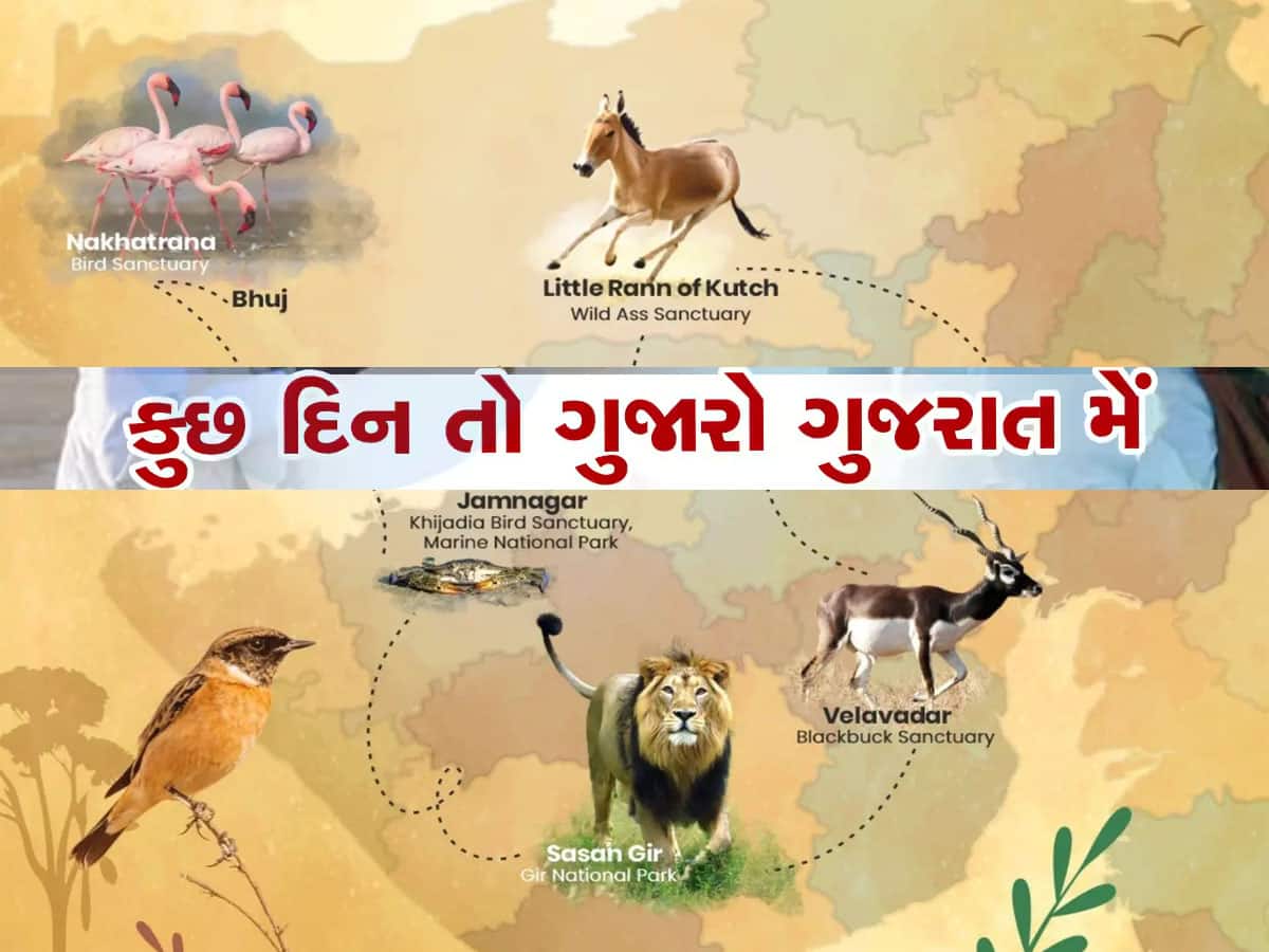 ગુજરાતમાં ફરવા માટે ઢગલો જગ્યા છે! આ 48 ઈકો ટુરિઝમ સાઈટના લિસ્ટ પર ...