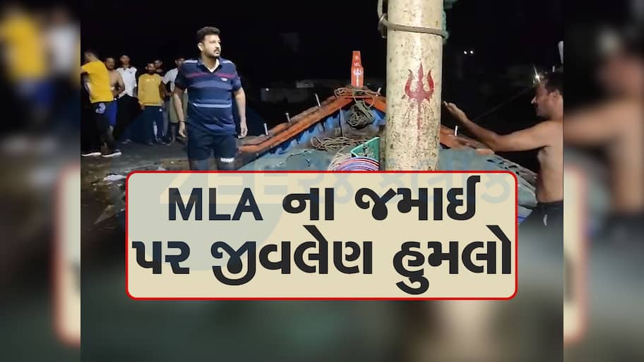 MLA હીરા સોલંકીના જમાઈ અને અમરેલી જિલ્લા યુવા ભાજપ પ્રમુખ ચેતન શિયાળ પર ...