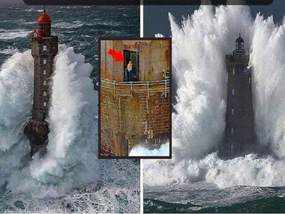 સ્વીચ ચાલુ-બંધ કરવાના કામનો 300000000 પગાર! છતાં કેમ કોઈ નથી નોકરી કરવા ...