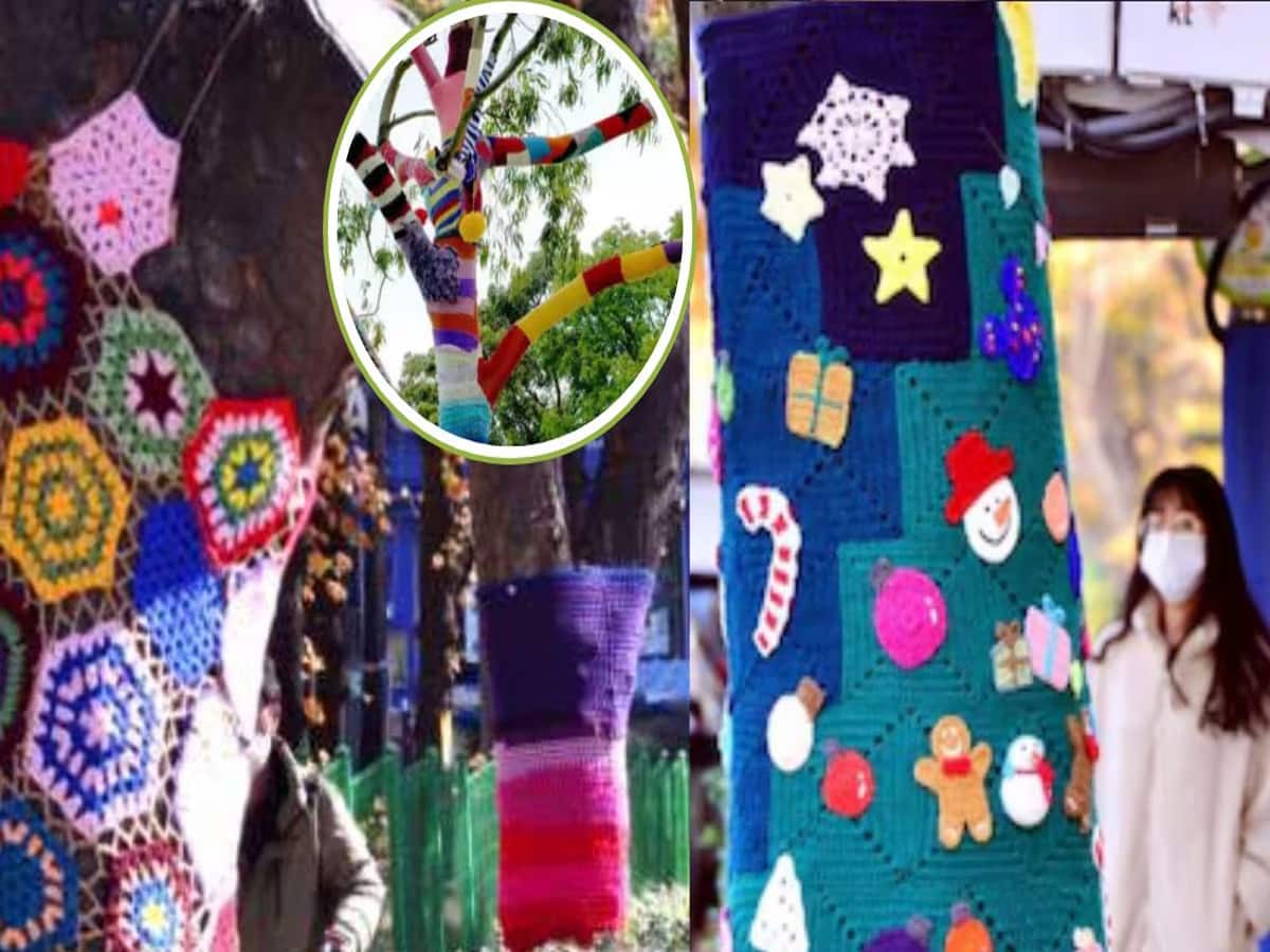 woolen clothes for tree in korea | South Korea Tree | Sweaters for Tree ...