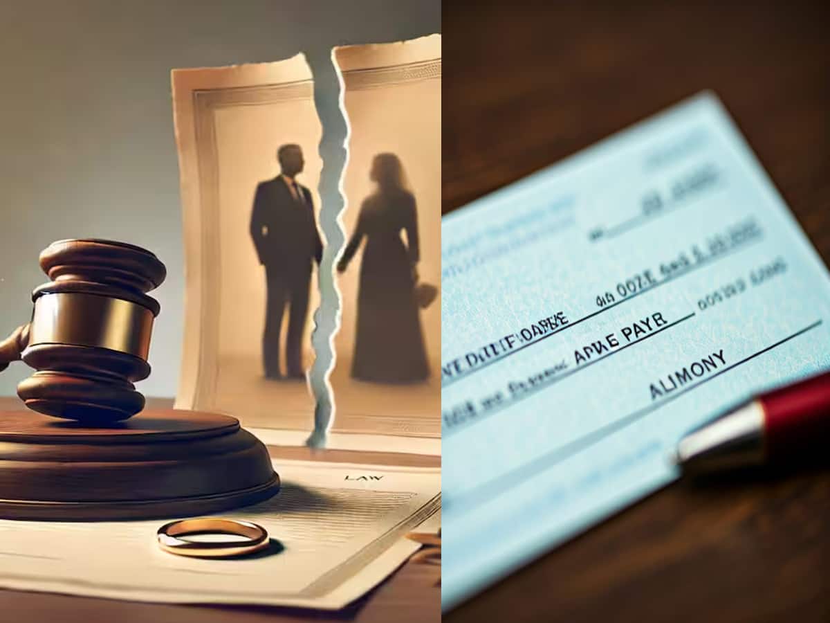 SC rejects 500 crore alimony demand | Second wife alimony case | Indian-American man alimony ...