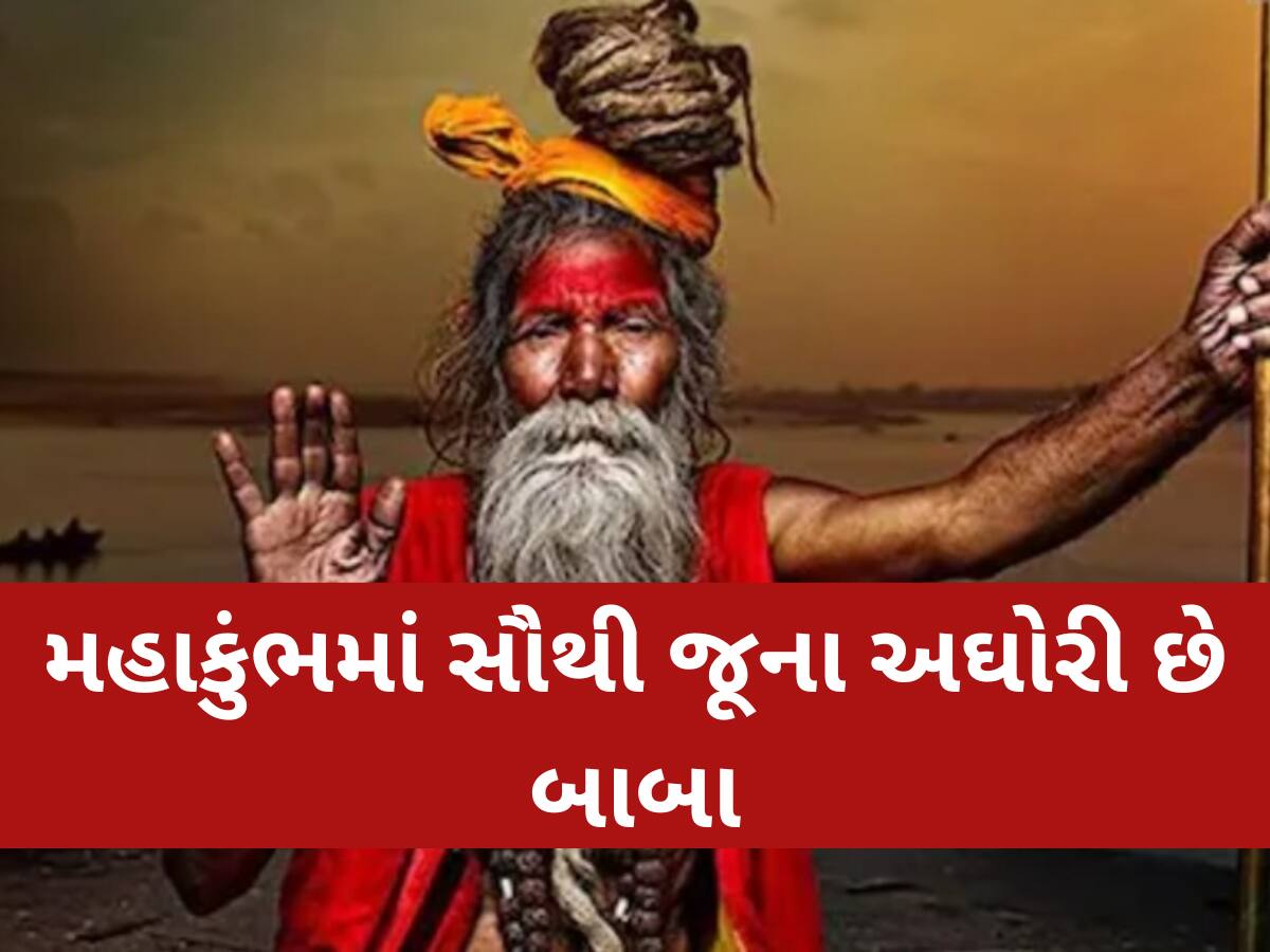 મહાકુંભના એક અઘોરી કાલપુરુષની ભયાનક ભવિષ્યવાણી, સાંભળીને થઈ જશો હેરાન ...