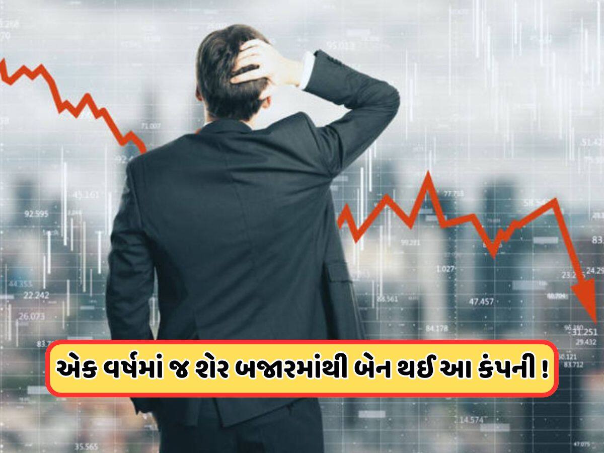 SEBI banned a listed company from the market shares crashed IPO came ...