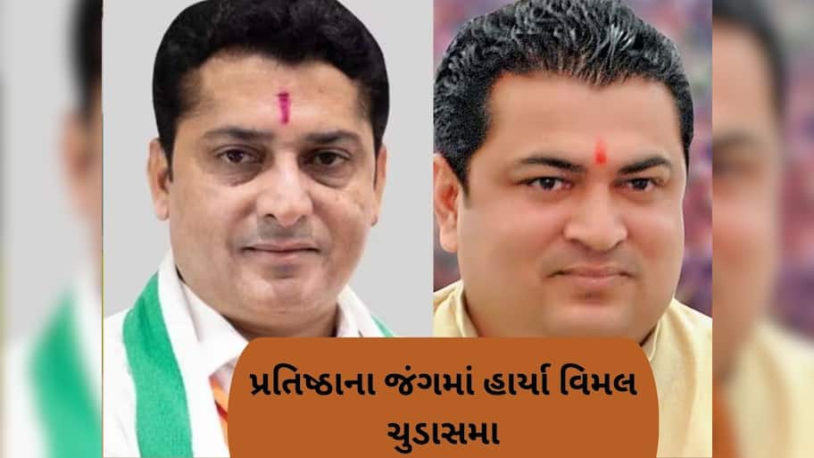 ચોરવાડમાં કોંગ્રેસની ભૂંડી હાર, ધારાસભ્ય વિમલ ચુડાસમા પર ભારે પડ્યા ...