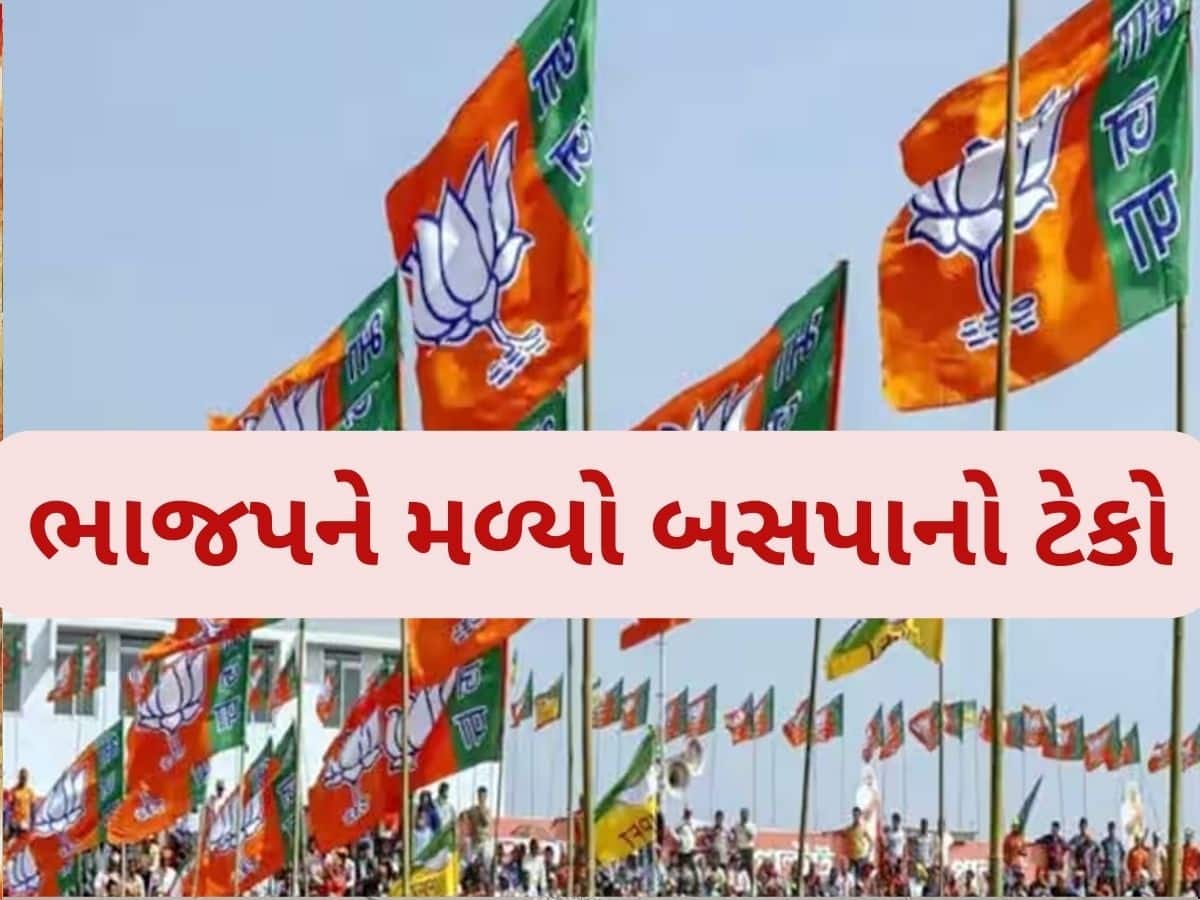 માંગરોળ નગરપાલિકામાં પરિણામ બાદ પડી ગયો ખેલ, બહુમતી ન હોવા છતાં શાસન ...