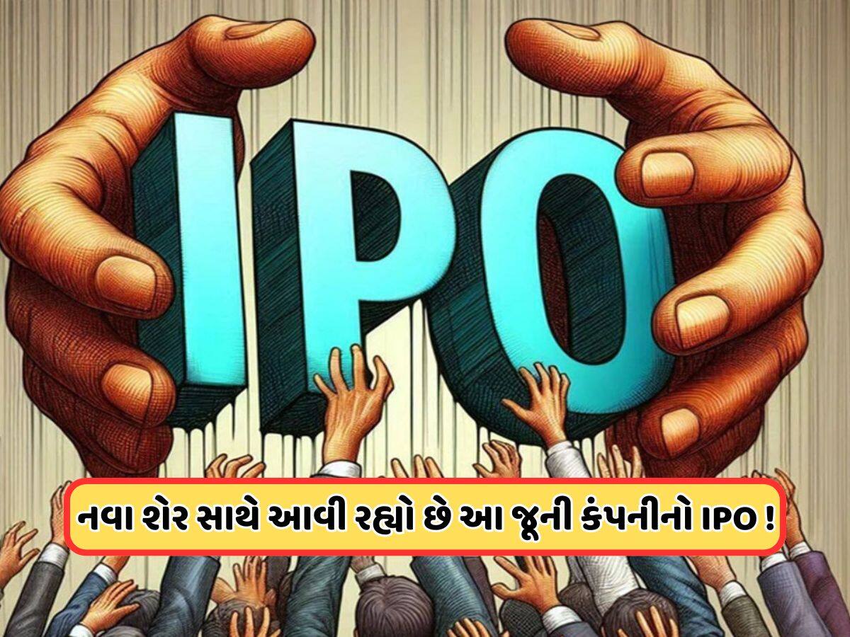 22 year old Gujarati company is coming up with an IPO plans to raise Rs 300 crore | IPO News: 22 ...