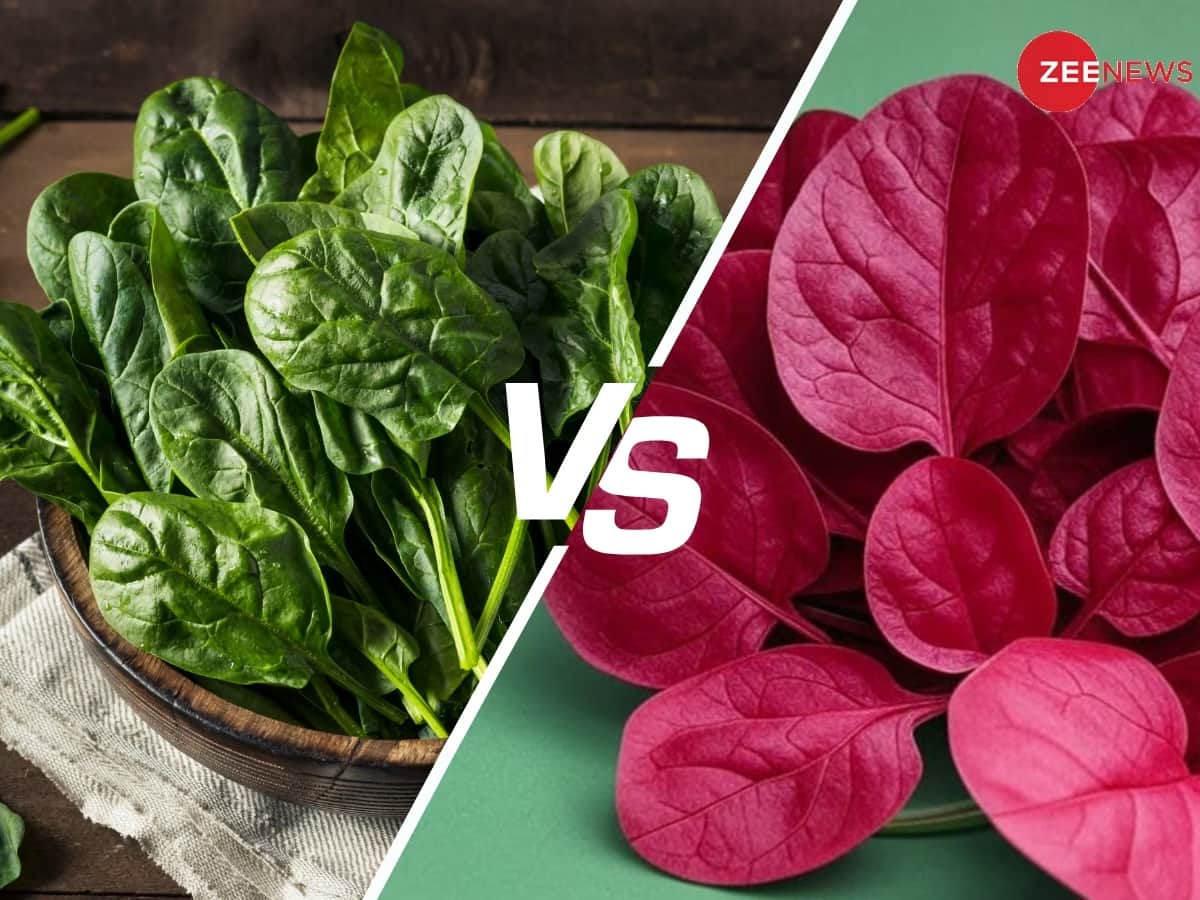 Green Spinach or Red Spinach which is more beneficial for diabetes ...