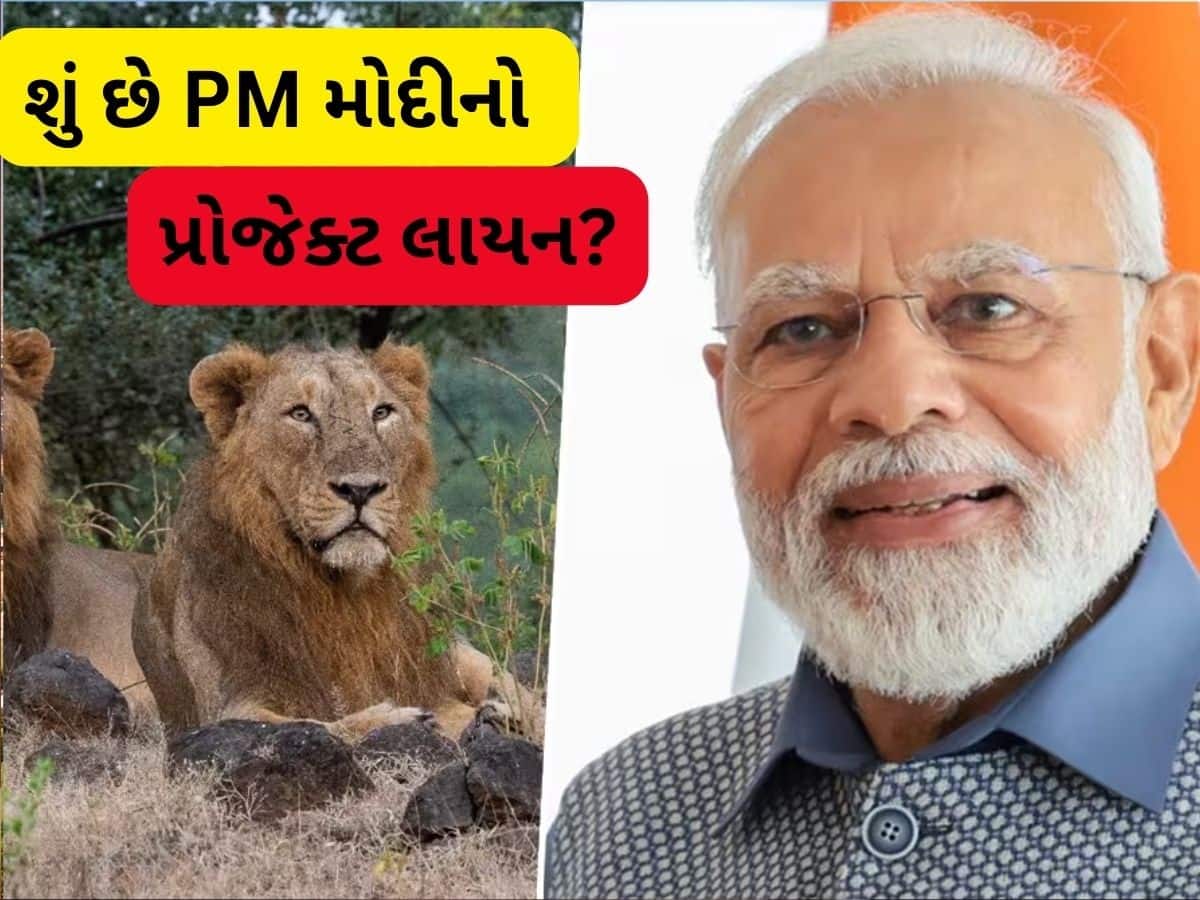pm modi project lion | વિશ્વમાં રણકશે ગુજરાતનું ગીર, વર્લ્ડ વાઇલ્ડ લાઇફ ...