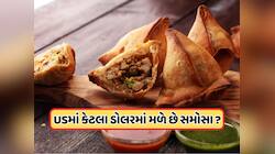 Samosa News in Gujarati, Latest Samosa news, photos, videos | Zee News ...