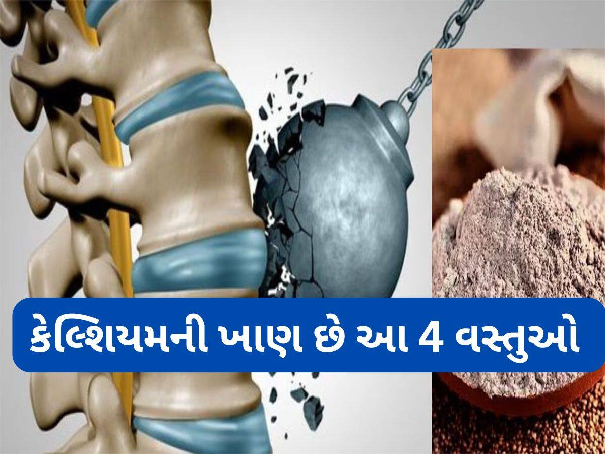 calcium rich foods for bone health | which foods increase bone strength ...