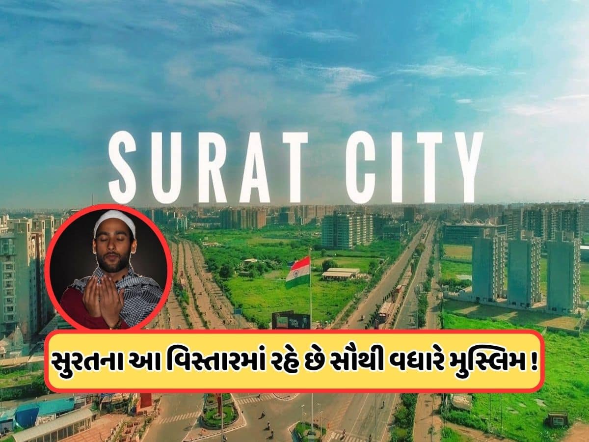 What is the Muslim population of the city of Gujarat called the Diamond ...