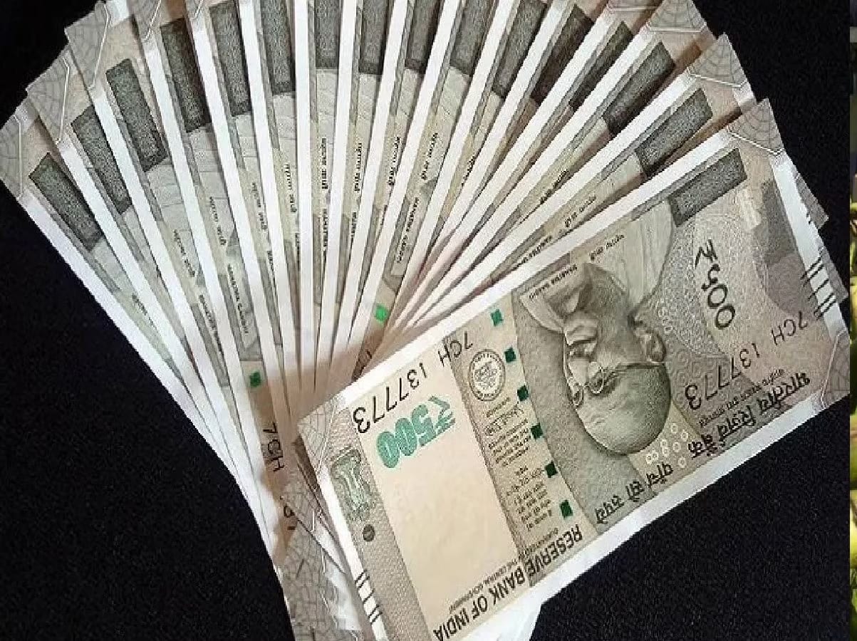 Richest Person in Vadodara: આ છે વડોદરાના સૌથી ધનાઢ્ય લોકો, કરોડો-અબજો ...