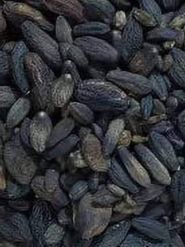 harad health benefits | harad khane ke fayde | હરડે ખાવાથી લીવરને થતા લાભ