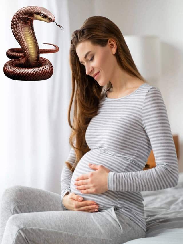 Why do snakes not bite pregnant women Know Brahmavaivarta Purana ...