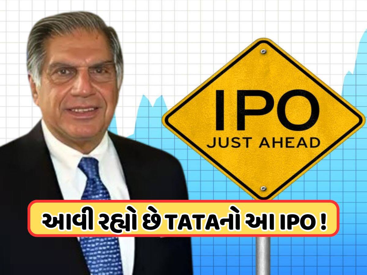 Tata Group's IPO is coming promoters will sell 23 crore shares 21 crore ...