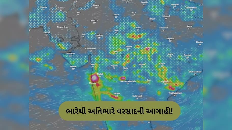 Meteorological Department issues red and yellow alert | ગુજરાતમાં સાત ...